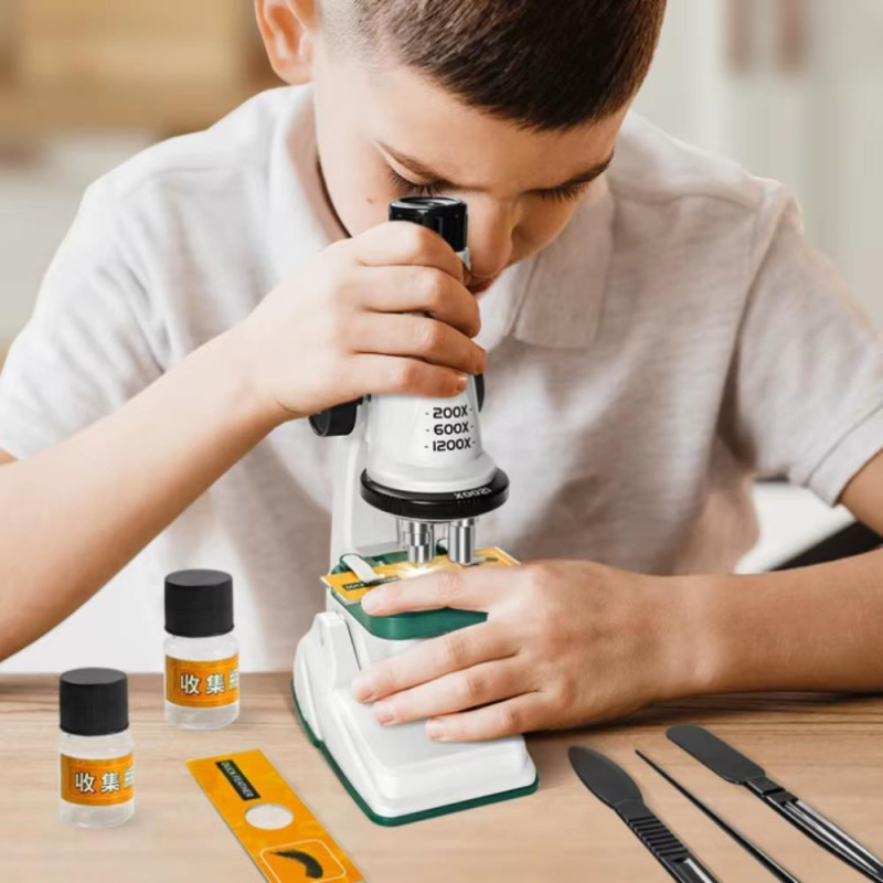 MICROSCOPIO ESCOLAR NIÑOS EDUCATIVO 200X LUZ LED + MUESTRAS