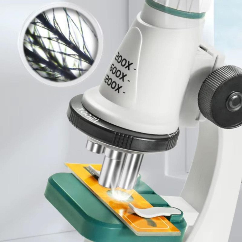 MICROSCOPIO ESCOLAR NIÑOS EDUCATIVO 200X LUZ LED + MUESTRAS